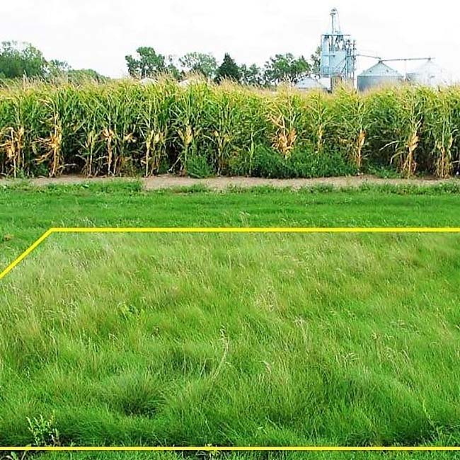 Perimeter Control Systems Built for the Real Jobsite - Ramy Turf Products